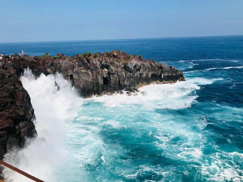 From Tokyo: Izu Omuro Mountain, Jogasaki Coast Day Trip - In The Sum Up