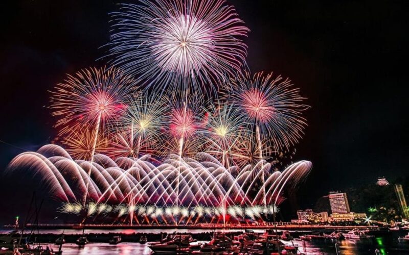 From Tokyo: Kamakura 1-Day Trip (Atami Fireworks Display) - Meeting Points and Transportation