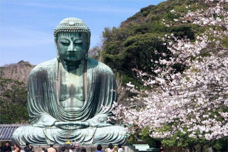 From Tokyo: Kamakura 1-Day Trip (Atami Fireworks Display) - Customer Reviews