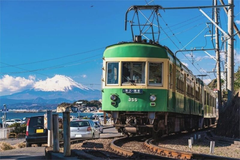 From Tokyo: Kamakura 1-Day Trip (Atami Fireworks Display) - Witnessing the Spectacular Atami Fireworks Display