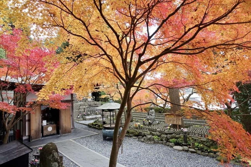 From Tokyo: Kamakura and Enoshima 1-Day Bus Tour - A Day Out of Tokyo: What’s Included and What to Expect