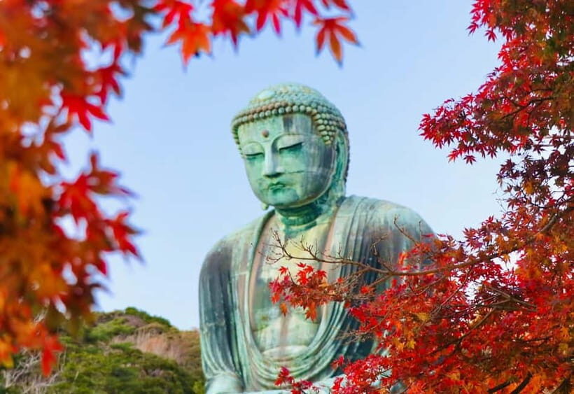 From Tokyo: Kamakura and Enoshima 1-Day Bus Tour - The Practical Side: Transportation, Cost, and Group Experience