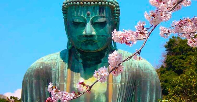 From Tokyo: Kamakura and Enoshima Full-Day Private Trip - The Itinerary in Detail: What You Can Expect