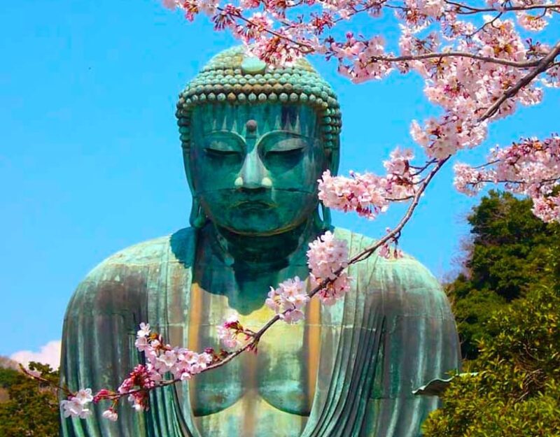 From Tokyo: Kamakura and Enoshima Full-Day Private Trip - Highlights of the Itinerary