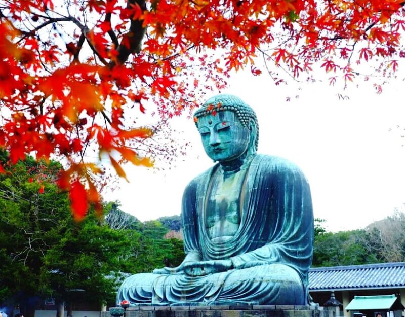 From Tokyo: Kamakura and Enoshima Full-Day Private Trip - Included Services and Insights