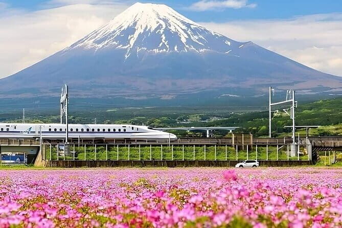 From Tokyo Kamakura and Enoshima Private Day Tour - FAQs