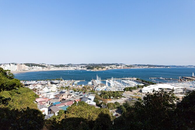 From Tokyo: Kamakura & Enoshima 1-Day Bus Tour - Itinerary Highlights