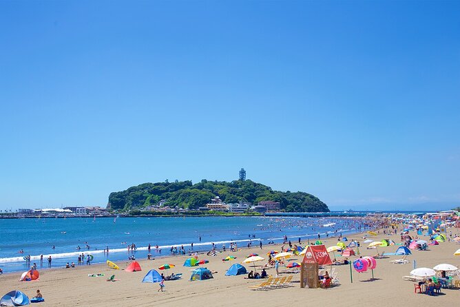From Tokyo: Kamakura & Enoshima 1-Day Bus Tour - Tour Experience and Feedback