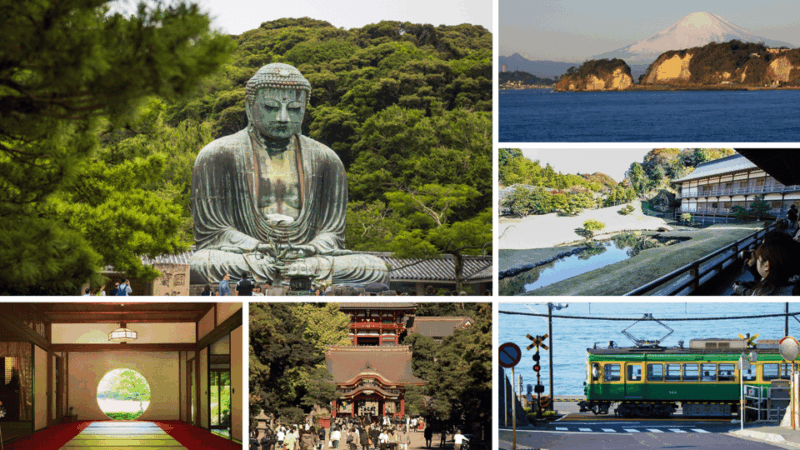 From Tokyo: Kamakura Full Day Tour With a Local Expert Guide - Explore Historic Kamakura