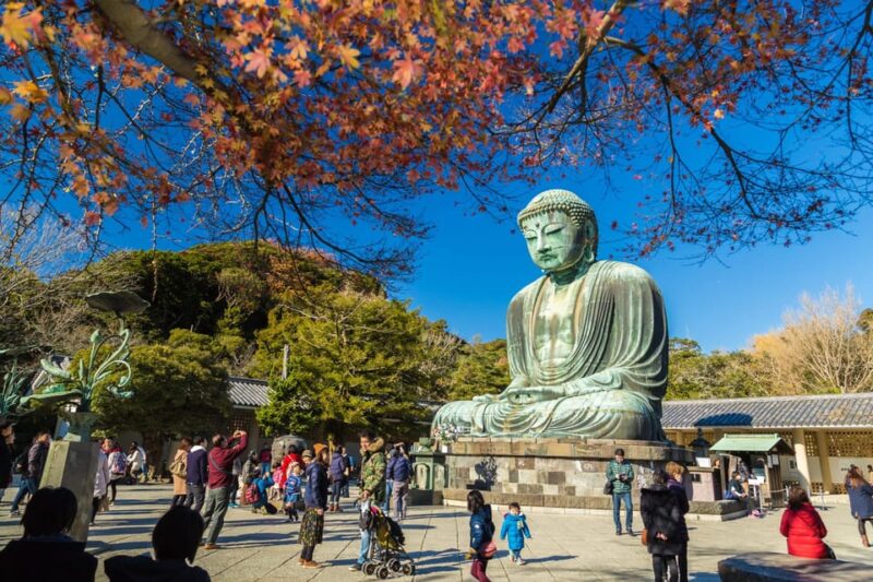 From Tokyo: Kamakura Full Day Tour With a Local Expert Guide - The Great Buddha and Tsurugaoka Hachimangu Shrine