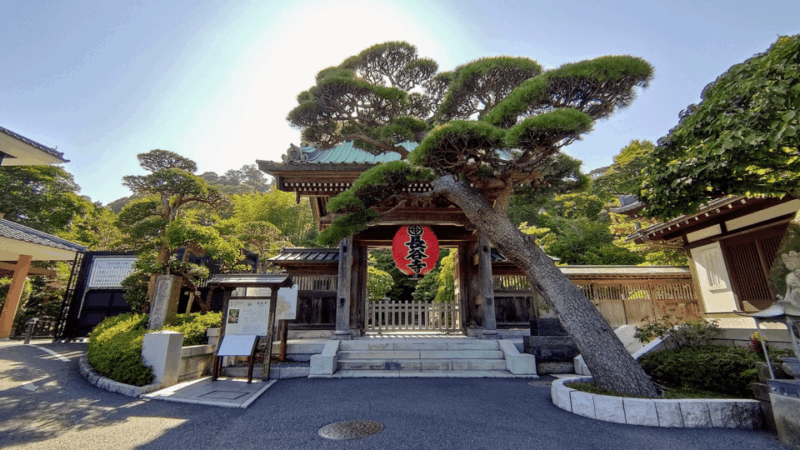 From Tokyo: Kamakura Full Day Tour With a Local Expert Guide - Accessibility and Amenities