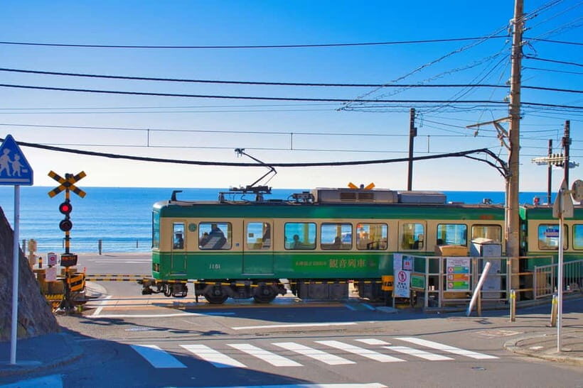 From Tokyo: Kamakura, Great Buddha, and Enoshima Bus Tour - Discovering Japan’s Coastal Charm and Historic Heart on a Kamakura & Enoshima Day Tour