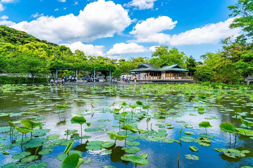 From Tokyo: Kamakura, Great Buddha, and Enoshima Bus Tour - Frequently Asked Questions