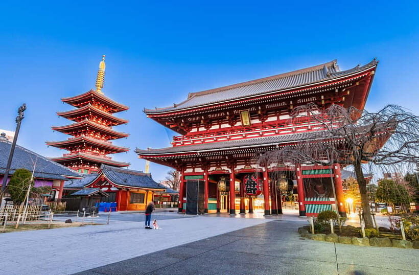From Tokyo: Kamakura, Great Buddha, and Enoshima Bus Tour - Final Thoughts