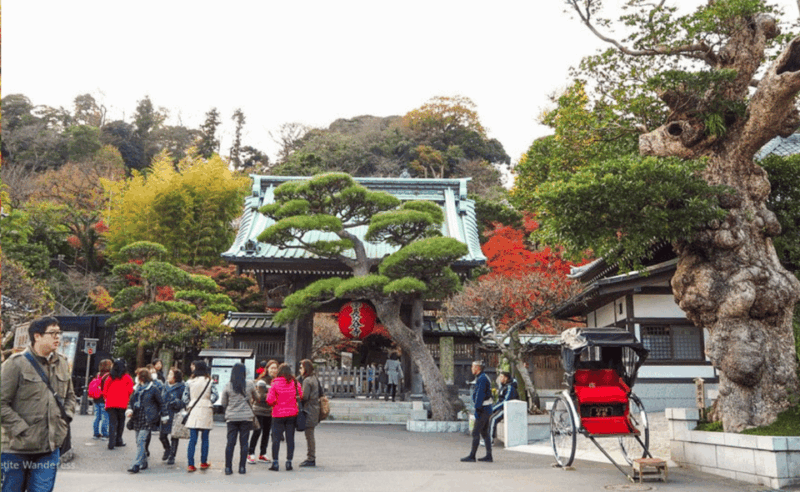 From Tokyo: Kamakura, Hachimangu, Enoshima Private Day Trip. - Key Points