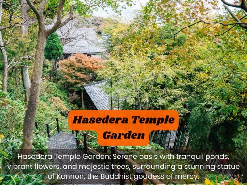 From Tokyo: Kamakura, Hachimangu, Enoshima Private Day Trip. - Kōtoku-in Temple