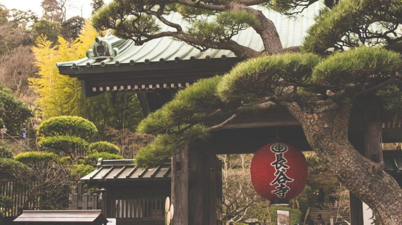 From Tokyo: Kamakura, Hachimangu, Enoshima Private Day Trip. - Transportation and Accessibility