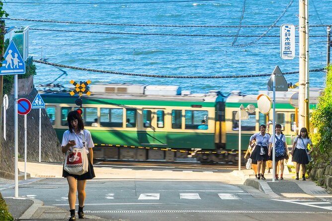 From Tokyo Kamakura, Hachimangu Shrine and Enoshima Full Day Tour - Key Points