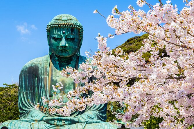 From Tokyo Kamakura, Hachimangu Shrine and Enoshima Full Day Tour - Additional Considerations and Communication