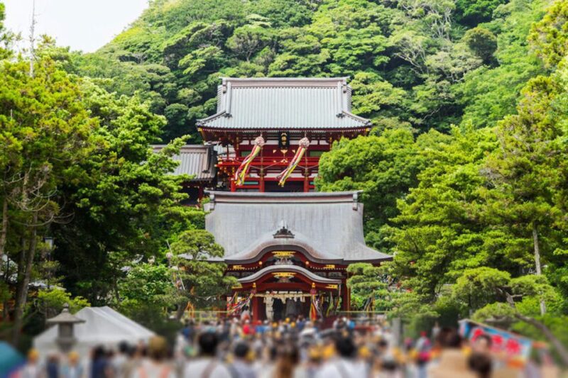 From Tokyo: Kamakura Private Customize Tour by Luxury Van - Customizing Your Kamakura Adventure