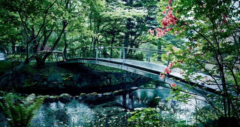 From Tokyo: Karuiizawa Hyland Shrine Koedo Kawagoe Day Tour - Key Points