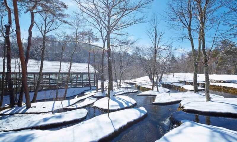 From Tokyo: Karuiizawa Hyland Shrine Koedo Kawagoe Day Tour - Karuizawa Prince Outlets