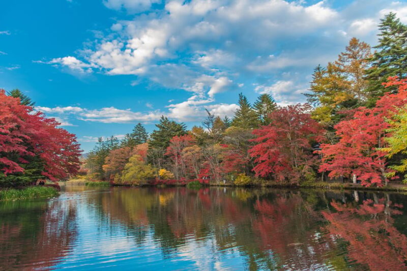 From Tokyo: Karuiizawa Hyland Shrine Koedo Kawagoe Day Tour - Frequently Asked Questions