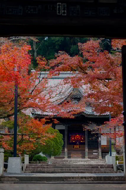 From Tokyo: Kawazu Sakura, Strawberry & Hot Spring Day Tour - Key Points