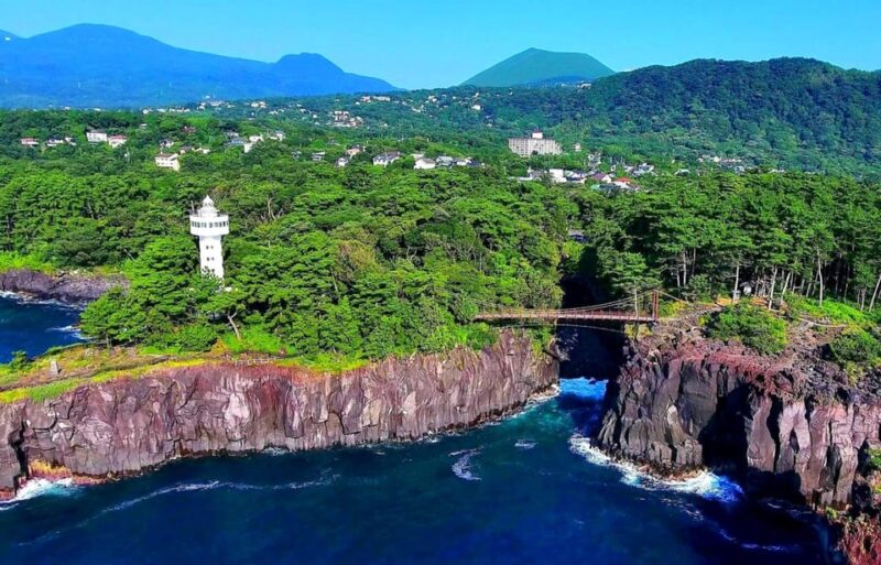 From Tokyo: Kawazu Sakura, Strawberry & Hot Spring Day Tour - Inclusion and Transportation