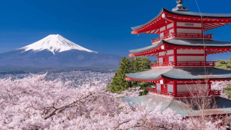 From Tokyo: Mount Fuji and Hakone Private Customize Tour - Experiences and Attractions