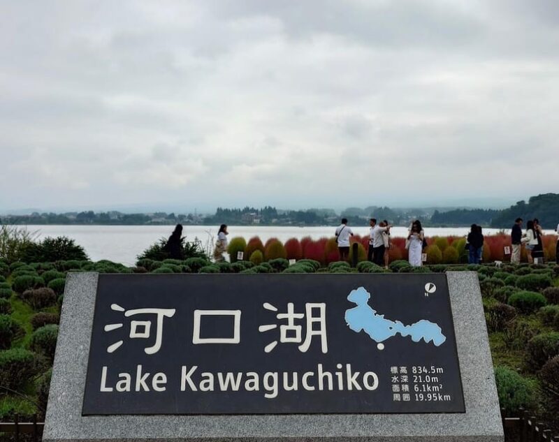 From Tokyo: Mount Fuji and Hakone Private Customize Tour - Pickup and Drop-off Locations