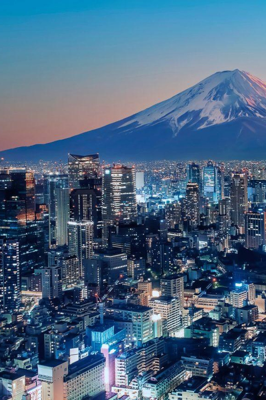 From Tokyo: Mount Fuji and Hakone Private Customize Tour - Communication and Support