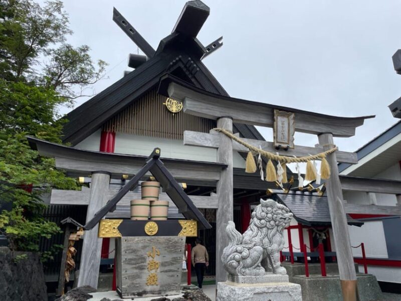 From Tokyo: Mount Fuji and Hakone Private Day Tour - Riding the Hakone Ropeway