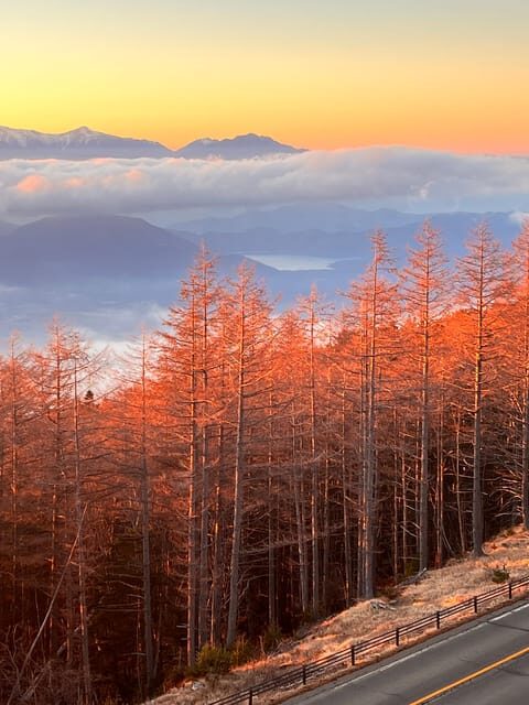 From Tokyo: Mount Fuji and Hakone Private Day Trip - The Sum Up