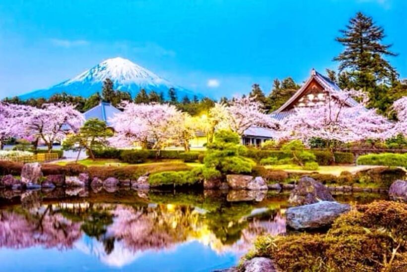 From Tokyo: Mount Fuji And Hakone Private Full Day Trip - The Itinerary in Detail