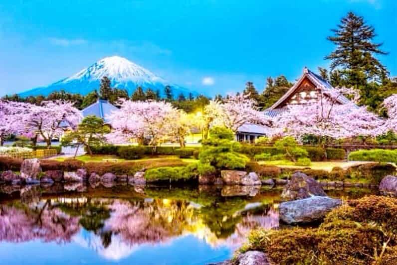 From Tokyo: Mount Fuji And Hakone Private Full Day Trip - Transportation and Comfort