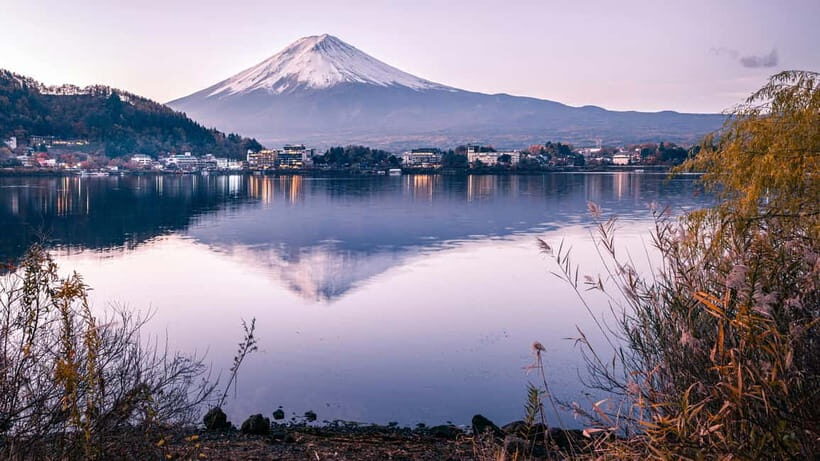 From Tokyo: Mount Fuji And Hakone Private Full Day Trip - A Detailed Look at the Tour Experience