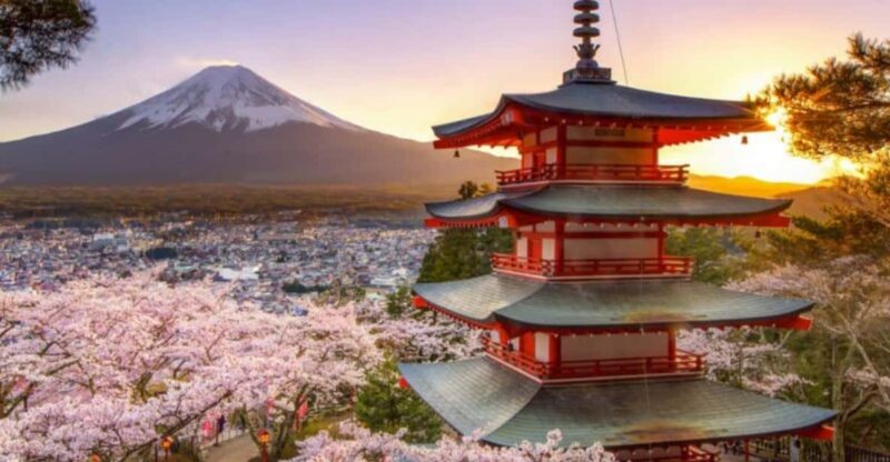 From Tokyo: Mount Fuji And Hakone Private Full Day Trip - Itinerary Highlights