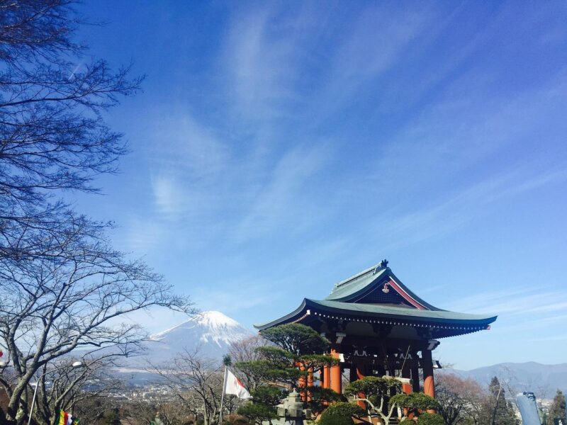 From Tokyo: Mount Fuji And Hakone Private Guided Day Trip - Transportation and Accessibility
