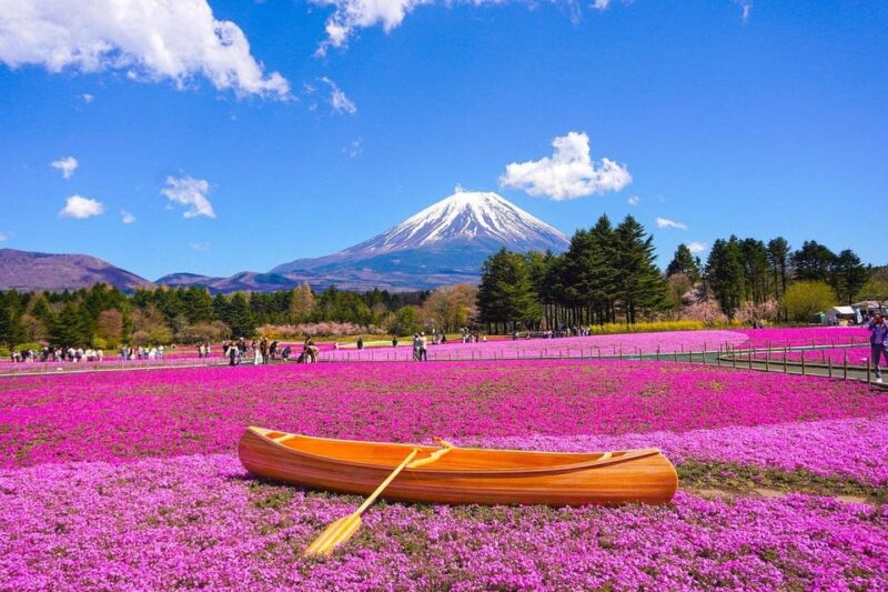 From Tokyo: Mount Fuji And Hakone Private Guided Day Trip - Customer Feedback