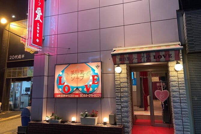 From Tokyo: Mount Fuji, Cruise and Sake Tasting Tour - Who Should Consider This Tour?