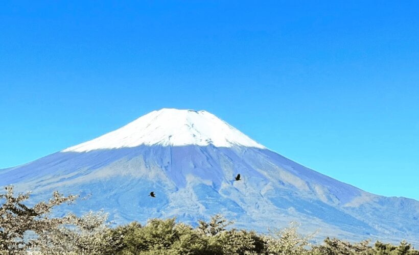 From Tokyo: Mount Fuji Customizable Sightseeing Tour - Source