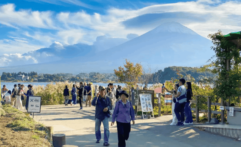 From Tokyo: Mount Fuji Customize Private Tour English Guide - Important Information and Restrictions