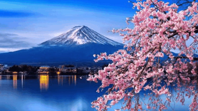 From Tokyo: Mount Fuji Customize Private Tour English Guide - Customizable Options