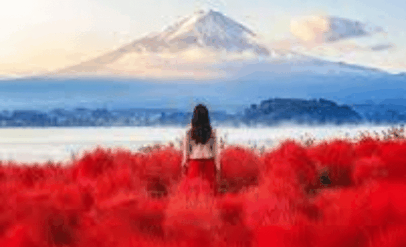 From Tokyo: Mount Fuji Customize Private Tour English Guide - Frequently Asked Questions