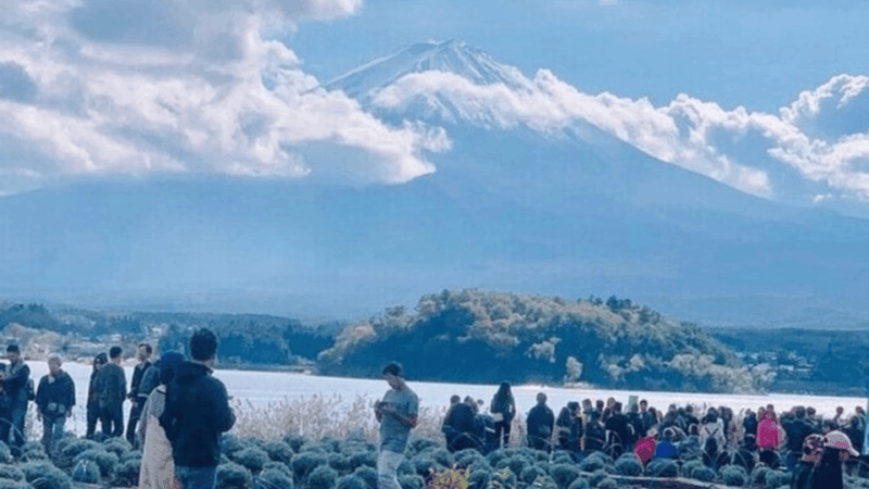From Tokyo: Mount Fuji Day Trip By English Speaking Driver - Pickup and Itinerary Details