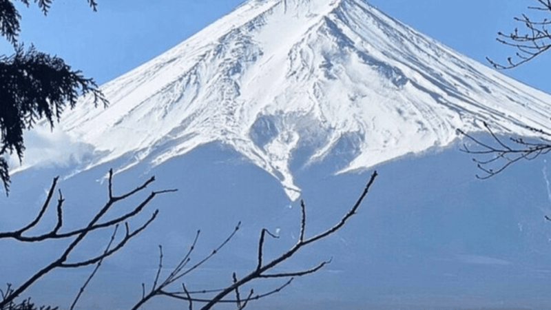 From Tokyo: Mount Fuji Day Trip By English Speaking Driver - Tour Highlights and Experience
