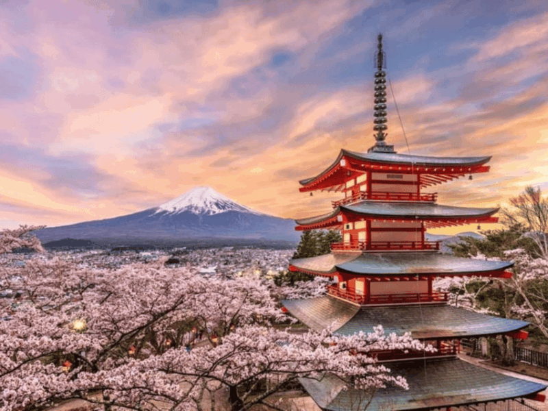 From Tokyo: Mount Fuji Day Trip With English Speaking Driver - Key Attractions