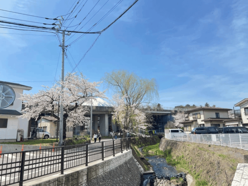 From Tokyo: Mount Fuji Day Trip With English Speaking Driver - Included Services and Important Information