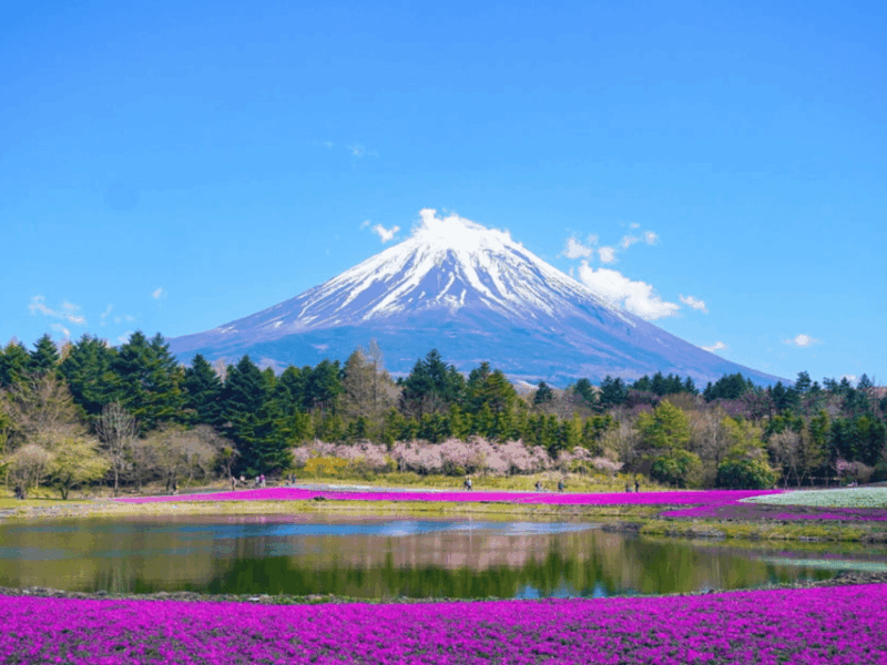 From Tokyo: Mount Fuji Day Trip With English Speaking Driver - Frequently Asked Questions